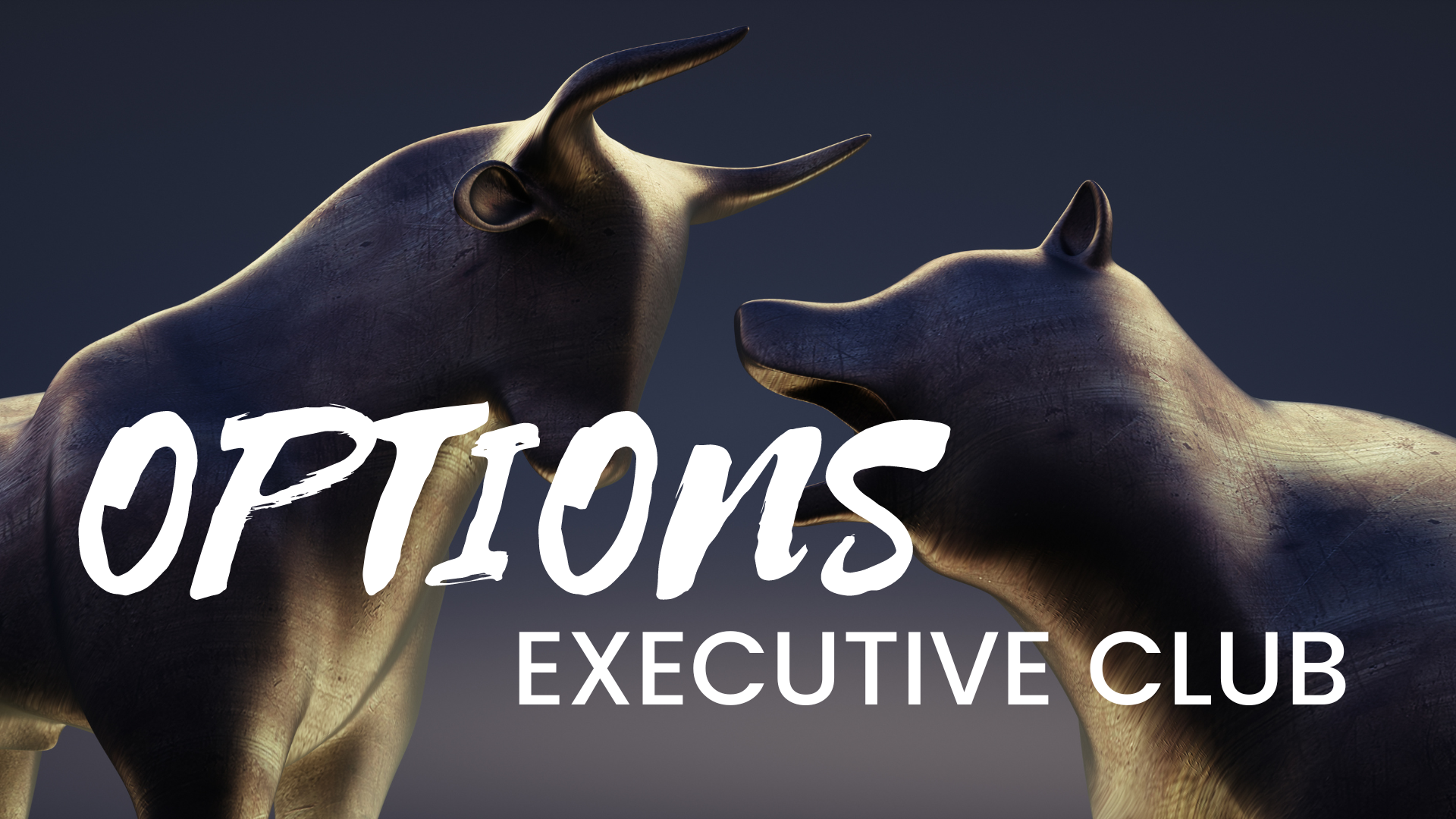 Options Executive Club Package - Beyond Insights